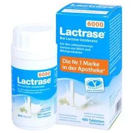Lactrase 6000 Fcc Tbl. Klickspender-Nachf&uuml;llpack 480 ST