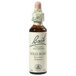 Bach-Bl&uuml;te Wild Rose 20 ML