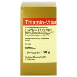 FBK-Pharma Thiamin Kapseln-Vitamin B1 120 ST