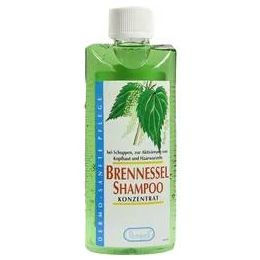 Brennessel Shampoo Floracell 200 ML