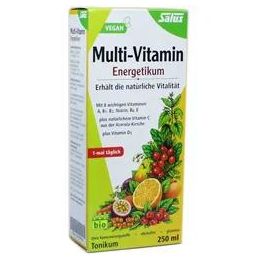 Multi-Vitamin-Energetikum Salus 250 ML