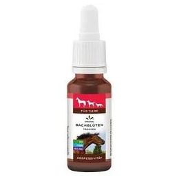 Bachbl&uuml;ten Tiere Tropfen Aggressivit&auml;t 20 ML