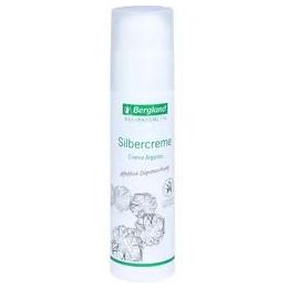 Silbercreme 100 ML