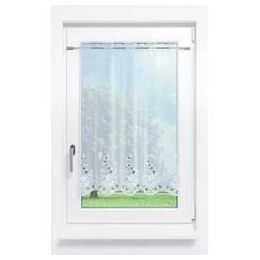 Scheibengardine Plauener Spitze - Blumenspiel #1W (Bx H) 243cm * 90cm reinweiß/Weiß