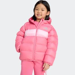 Steppjacke adidas Sportswear "LK SD JKT", Kinder, Gr. 116, transparent (pink fusion, clear pink, true pink), Obermaterial: 100% Polyester. Wattierung: 100% Polyester, Jacken