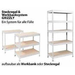Mammut Schwerlastregal Grizzly Weiß 5 Fächer 2.200 x 900 x 450 mm