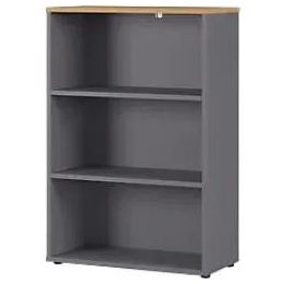 Germania Bücherregal 4231-564 Eiche, Grau 800 mm (B) x 400 mm (T) x 1200 mm (H)