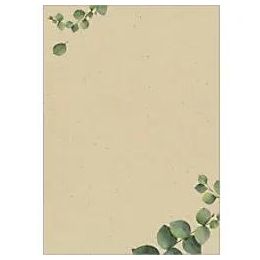 Sigel Eucalyptus Briefpapier Braun 100 Blatt