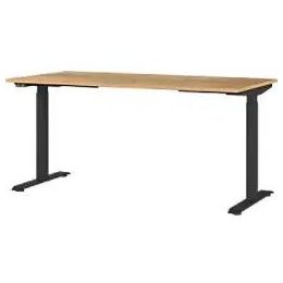 Germania GW-Mailand Höhenverstellbar Sitz-Stehschreibtisch Eiche T-Fuß 1.600 (B) x 800 (T) x 1.200 (H) mm Metall, Spanplatte