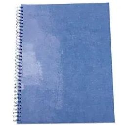 ELCO Notizblock DIN A4 Quadrille Spirale Seitlich gebunden Pappkarton Softcover Blau Perforiert 80 Blatt 2 Stück