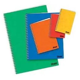 URSUS Style Notizbuch DIN A6 Kariert Spiralbindung Pressspan Farbig sortiert Nicht perforiert 96 Seiten 10 Stück à 48 Blatt