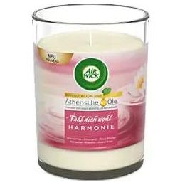 Airwick Air Wick Aroma-Duftkerze Harmonie 4 Stück à 220 g