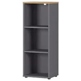 Germania Bücherregal 4230-564 Eiche, Grau 450 mm (B) x 400 mm (T) x 1200 mm (H)