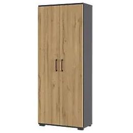 Germania GW-Profi 2.0 ABS (Acrylnitril-Butadien-Styrol), Melamin, Spanplatte Aktenschrank Nein 800 x 400 x 2.000 mm Braun, Dunkelgrau