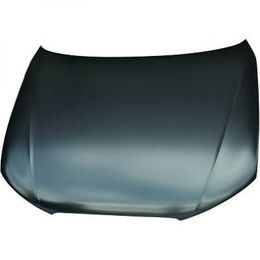 DIEDERICHS Motorhaube für AUDI 8K0823029H 1019000