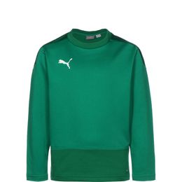 Puma Athletic Sweatshirt 'Team Goal 23' boy Green size 140