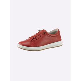 Andrea Conti Sneaker in rot | Gr.: 37
