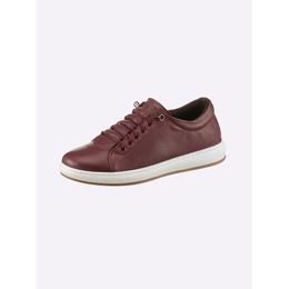 Andrea Conti Sneaker in burgund | Gr.: 39