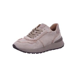 Gabor Sneaker Low in beige | Gr.: 36