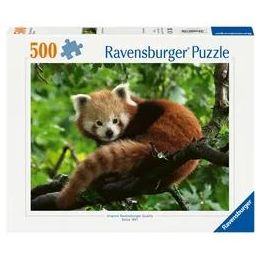 Puzzle Ravensburger "Süßer roter Panda", bunt, Puzzles, KinderB:49cm H:36cm, Made in Germany, B:49cm H:36cm