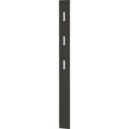 Garderobenpaneel Germania "Lakewood", graphit, B:15cm H:170cm T:3cm, Spanplatte, Garderobenpaneele, Höhe 170 cm