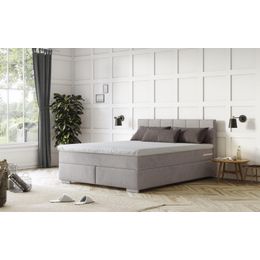 Boxspringbett COTTA "Simba", grau (hellgrau), L:209cm, Komplettbetten, Boxspringbett, Topseller wahlweise mit oder ohne Matratze und Topper bestellbar, Topseller