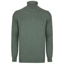 Felix Hardy Pullover Herren Gr&ouml;&szlig;e L gr&uuml;n