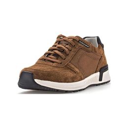 Pius Gabor Sneaker »Sneaker Veloursleder/Mesh« Mittelbraun 49 49 Verschluss: Schnürung