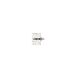 Fischer DuoXpand 10x100 T mit FUS-Schraube (574823)