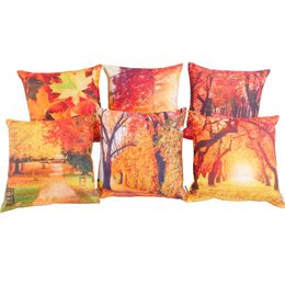 SONSTIGE Kissen OUTDOOR AUTUMN IV