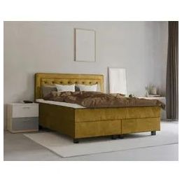 Boxspringbett LEONIQUE "Jeanne", gelb (mustard), B:161cm L:208cm, 100% Polyester, Komplettbetten, Boxspringbett, inkl. Topper mit Taschen-Federkernmatratze