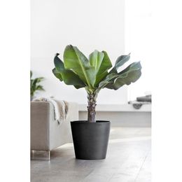 Ecopots Blumentopf &raquo;Amsterdam&laquo; &Oslash;xH: 40x35 cm grau Kunststoff