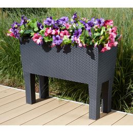 Prosperplast Pflanzk&uuml;bel &raquo;Rato Case High&laquo; BxTxH: 80x33x65 cm schwarz Kunststoff
