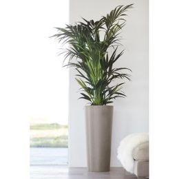 Ecopots Blumentopf &raquo;Amsterdam&laquo; &Oslash;xH: 32x70 cm braun Kunststoff