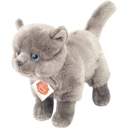HERMANN TEDDY ORIGINAL Kuscheltier &raquo;Kart&auml;user Katze 20 cm&laquo; zum Teil aus recyceltem Material grau Kuscheltier