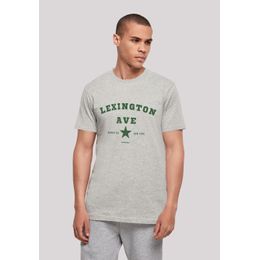 T-Shirt F4NT4STIC "Lexington Ave TEE UNISEX", Herren, Gr. M, grau (erdgrau), Obermaterial: 100% Baumwolle, regular fit, Rundhals, ohne Bündchen, Shirts, Print