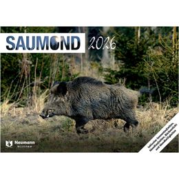 Neumann Neudamm Wandkalender Saumond 2026