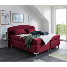 Boxspringbett "Amsterdam in den Breiten 160x200, 180x200cm & 200x200cm", rot (bordeaux, rot), B:215cm L:210cm, Westfalia Schlafkomfort, Komplettbetten, Boxspringbett