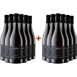 Cantina Colonnella 6+6 Paket Parhelia d'Abruzzo Montepulciano 2022 Trocken - Abruzzen &ndash; Probierpaket DOC