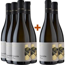 Don Tomasi 4+2 Paket Essentia Sicilia Grillo 2024 Trocken - Sizilien &ndash; Probierpaket DOC