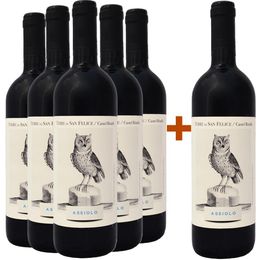 Terre di San Felice 5+1 Paket Assiolo Umbria Cuv&eacute;e 2020 - Umbrien &ndash; Probierpaket IGP