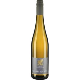 Forster Winzerverein Grauburgunder 2025 Trocken - Pfalz &ndash; Wei&szlig;wein Qualit&auml;tswein