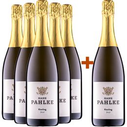 Weingut Hahn Pahlke 5+1 Paket Sekt BIO Riesling 2022 Brut - Pfalz – Probierpaket b.A.
