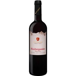 Ritterhof Weingut - Tenuta Blauburgunder Alto Adige Pinot Nero 2024 Trocken La zona di coltivazione si trova sotto il comune Montan, in pianura e sul
