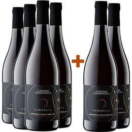 Cantina Colonnella 4+2 Parhelia d'Abruzzo Montepulciano 2022 Trocken - Abruzzen &ndash; Probierpaket DOC