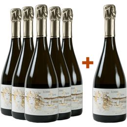 Domaine des Trotti&egrave;res 5+1 Paket "Loire & Sens" Cr&eacute;mant de Loire Chardonnay - &ndash; Probierpaket AOP