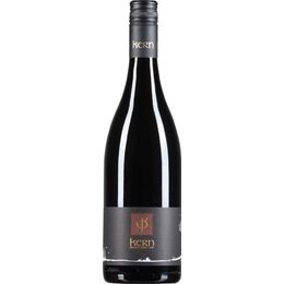 Weingut Lothar Kern Regent 2023 - B&ouml;chinger Rosenkranz Pfalz &ndash; Rotwein Qualit&auml;tswein