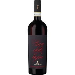 Pian delle Vigne Brunello di Monatlcino Sangiovese 2020 - Toskana &ndash; Rotwein DOCG