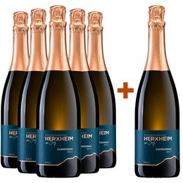 Winzergenossenschaft Herxheim am Berg 5+1 Paket Sekt brut Chardonnay 2023 Brut - Pfalz &ndash; Probierpaket b.A.