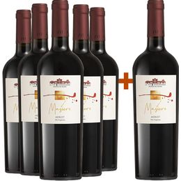 Le Vie Angarano 5+1 Paket Masiero Riserva Breganze BIO Merlot 2020 Trocken - Venetien &ndash; Probierpaket DOC
